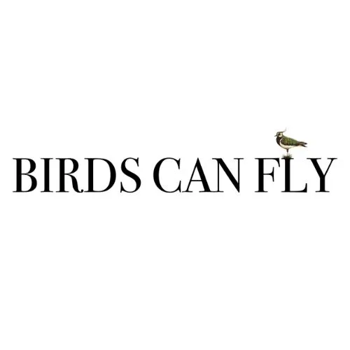 Birds Can Fly | Newspage - #BeTheStory